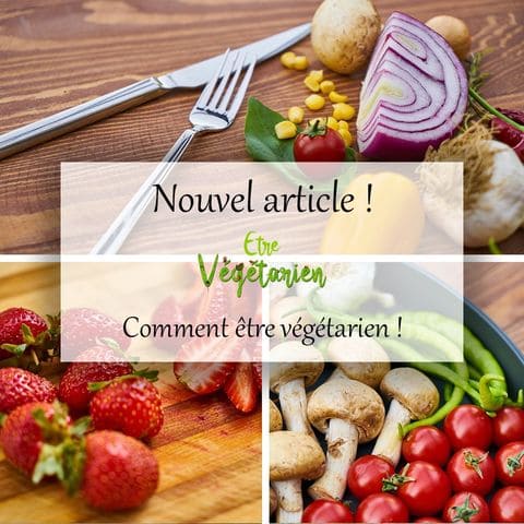 Accueil - Être Végétarien | Communauté Veggie et écolo